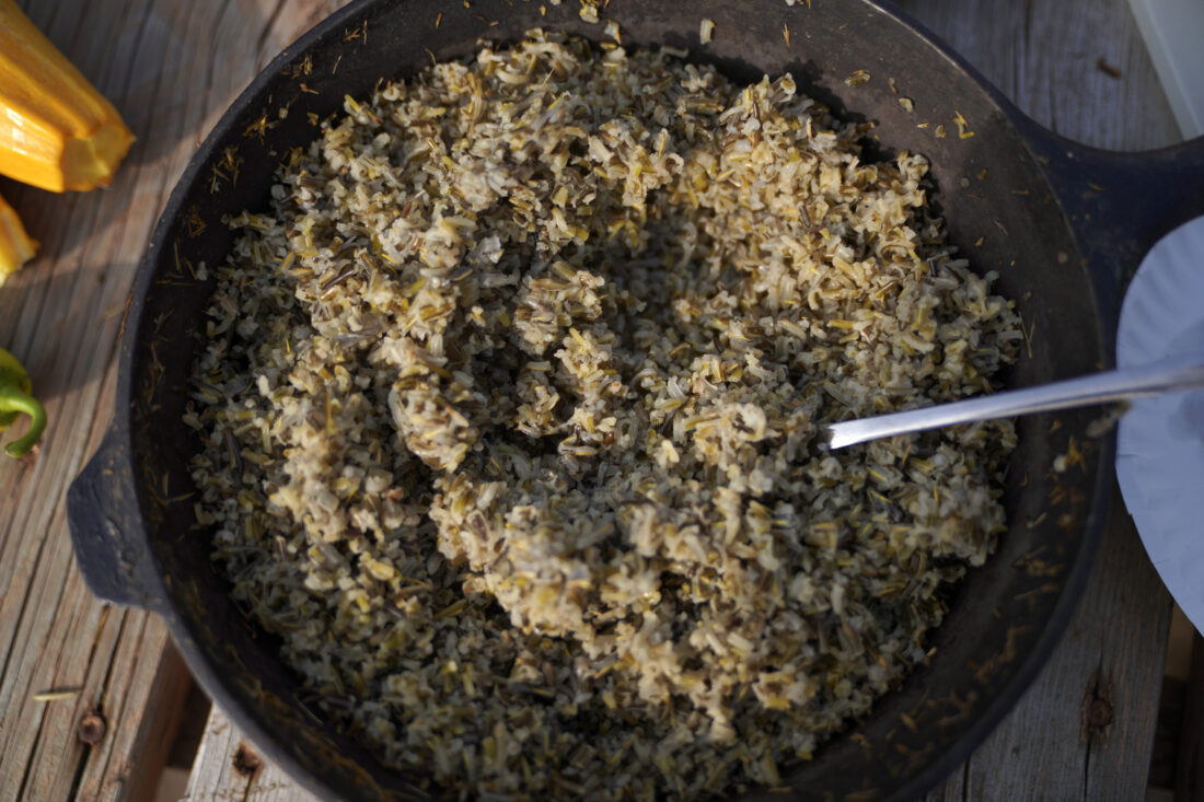 CRAVE: Minnesota Ojibwe harvest sacred, climate-imperiled wild rice ...